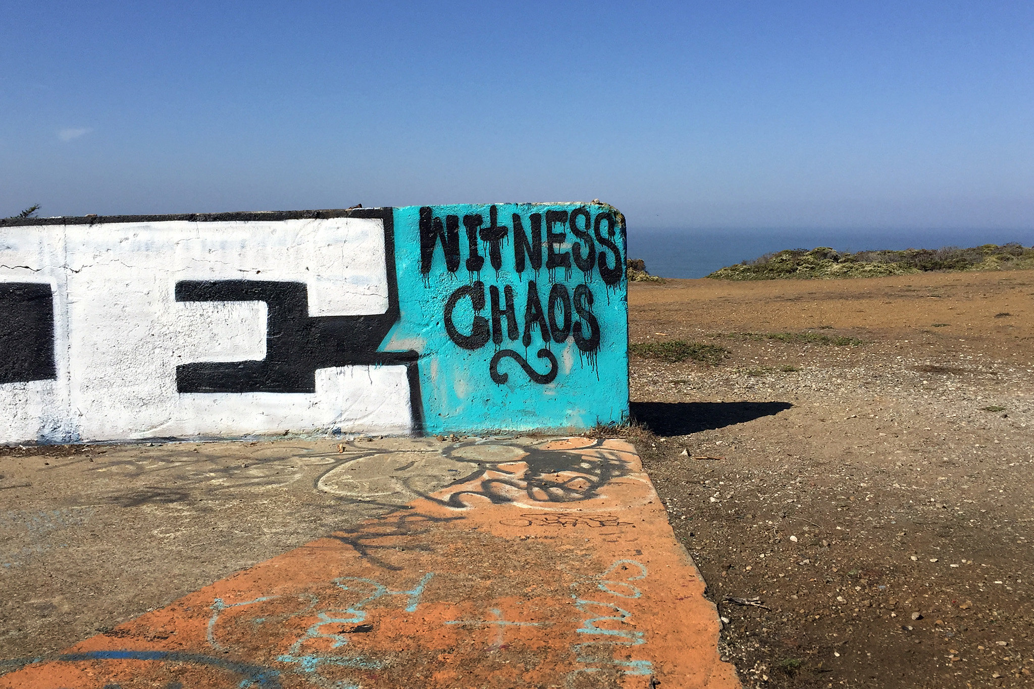 When Government Investigates Its Critics: Why the Bill C-11 Witness ...